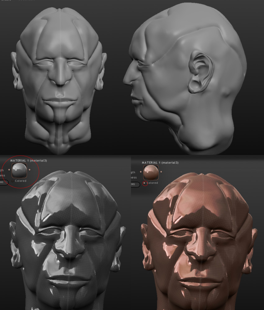 Sculptris - WacometmaPomme